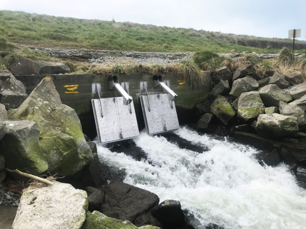 Fish Friendly Tide Gates - SSA Environmental