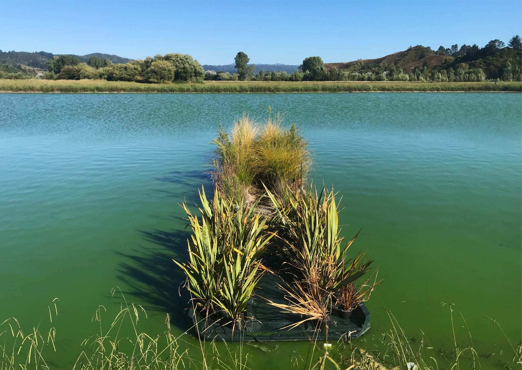 Floating Wetland - SSA Environmental