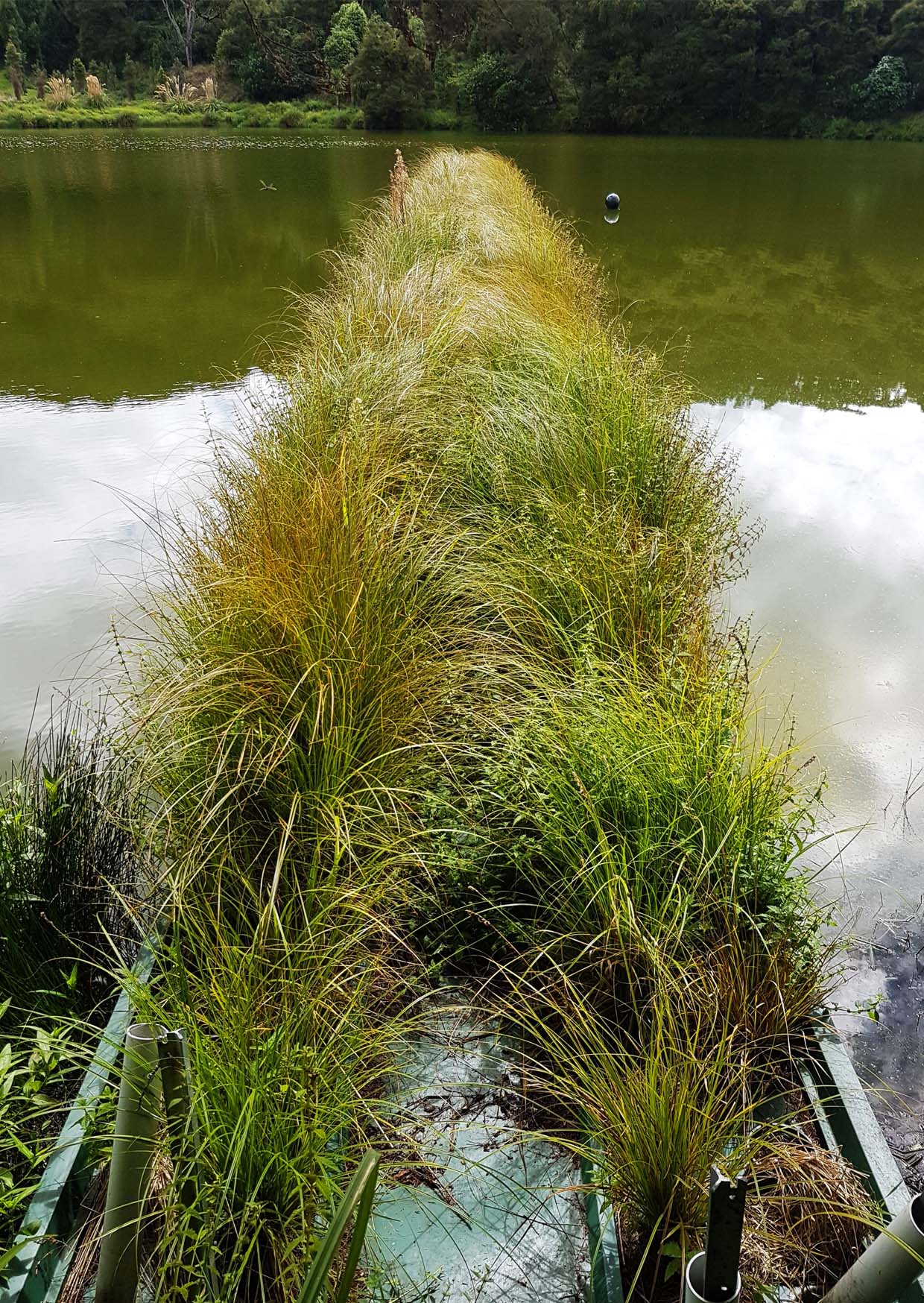 Floating Wetland - SSA Environmental