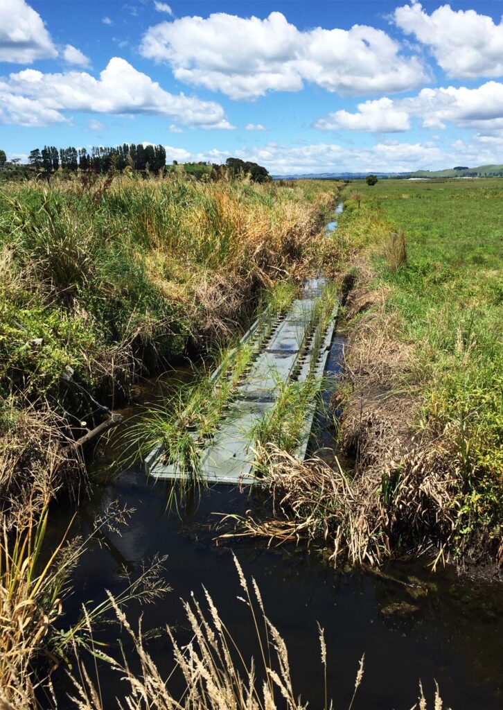 Floating Wetland - SSA Environmental